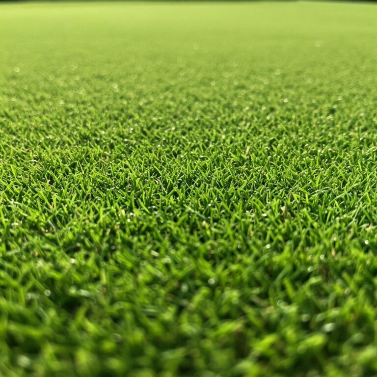 Golf Green Mastery: 15 Expert Tips For Perfect Putting Surface Success ...