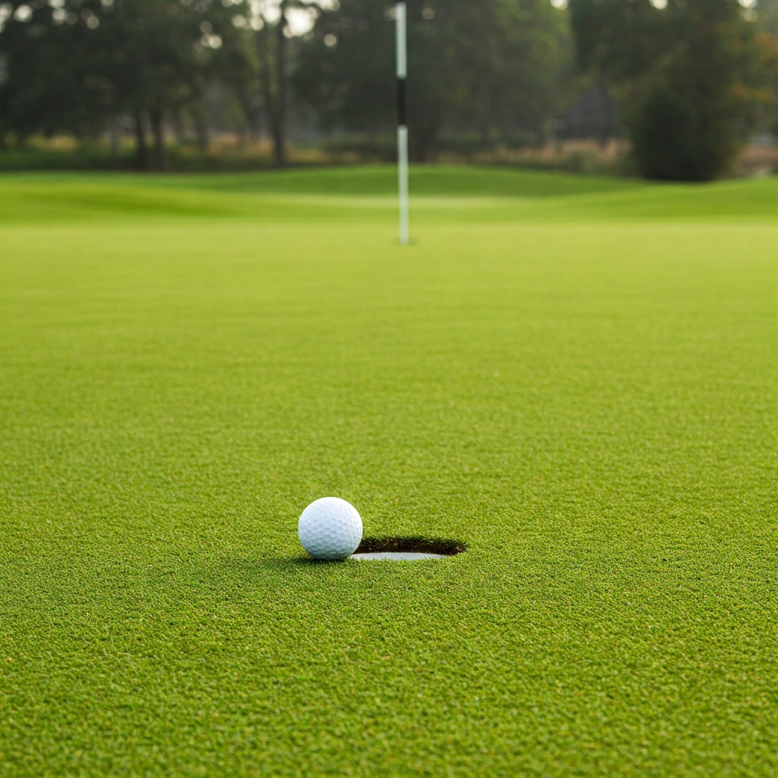 Golf Green Mastery: 15 Expert Tips For Perfect Putting Surface Success ...